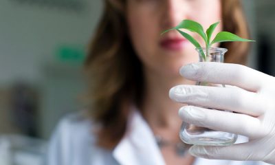 Career options after completing B.Sc. Botany - Careernaka.com